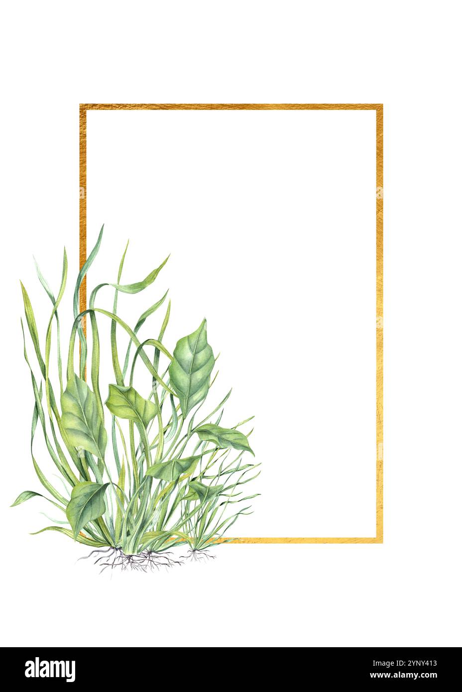 Watercolor undersea green weeds vertical golden frame. Water algae ...