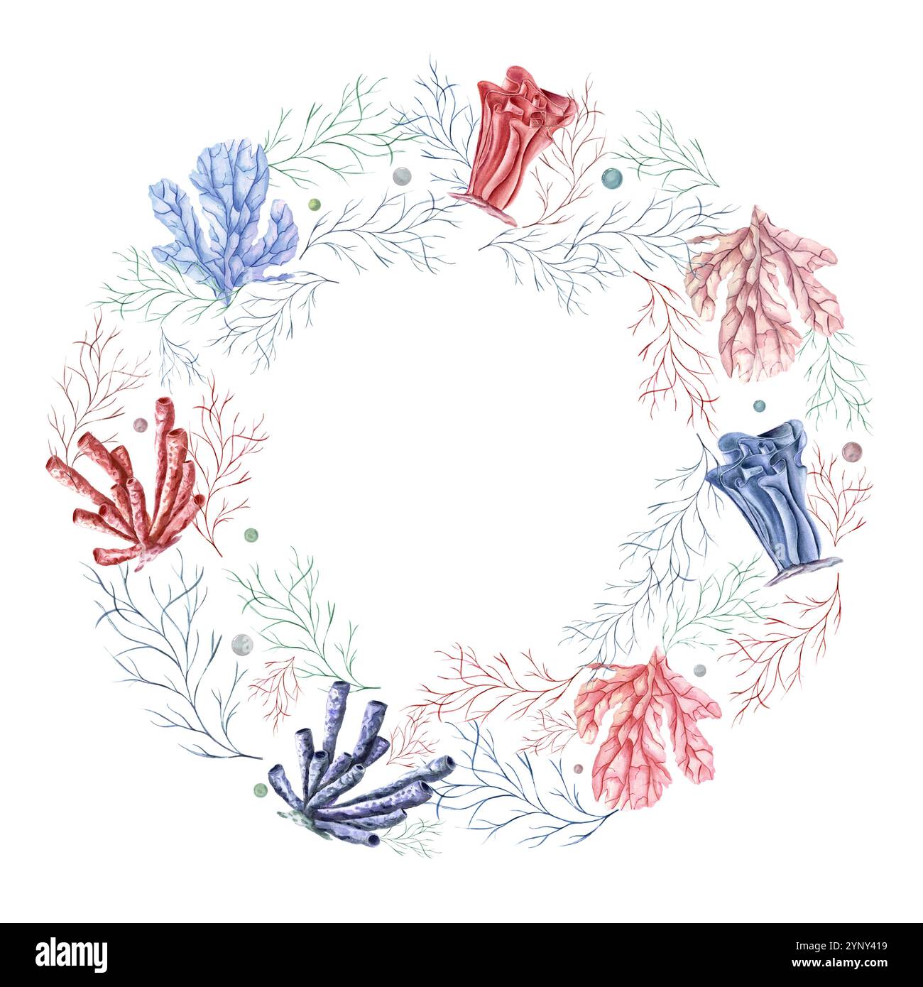 watercolor undersea pink, blue corals, plants, water bubbles wreath ...