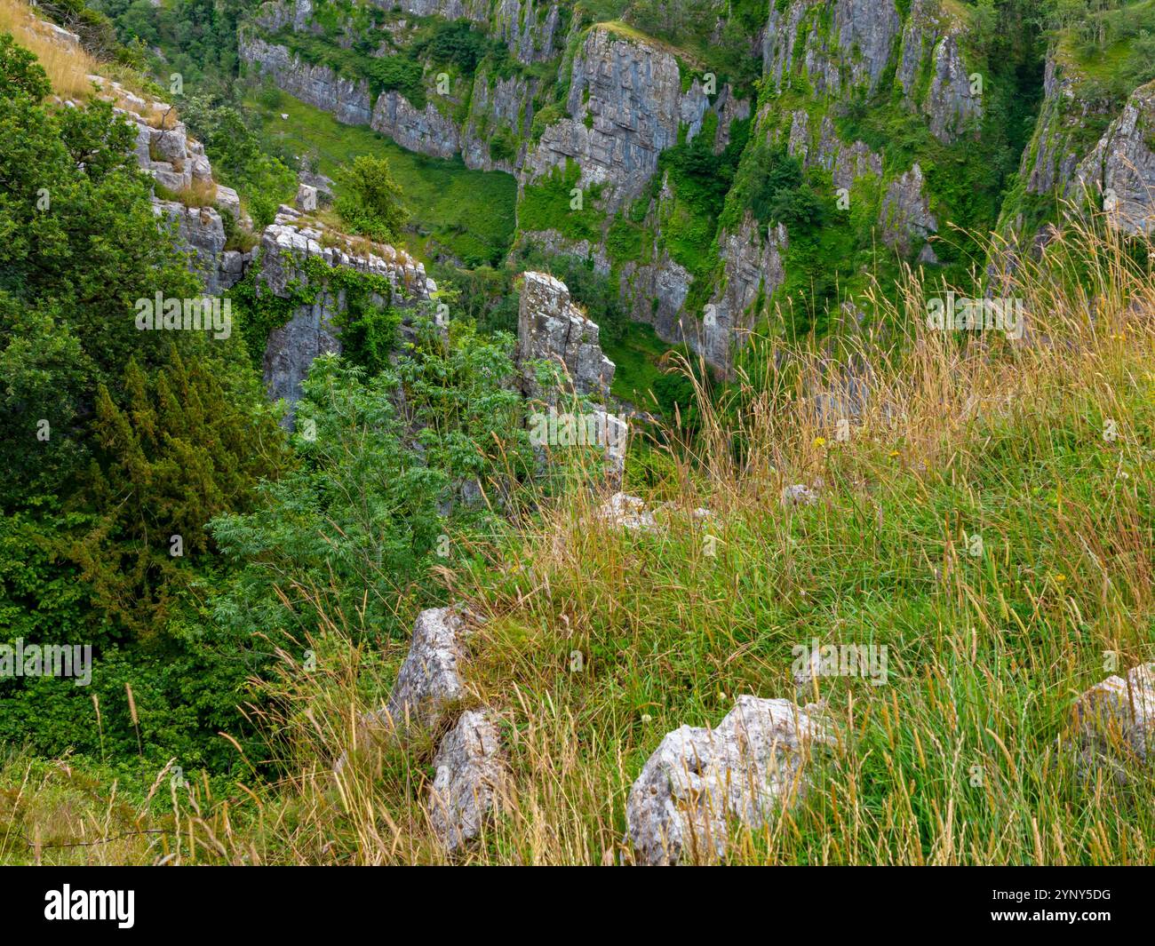 View of the carboniferous limestone cliffs at Cheddar Gorge a tourist ...