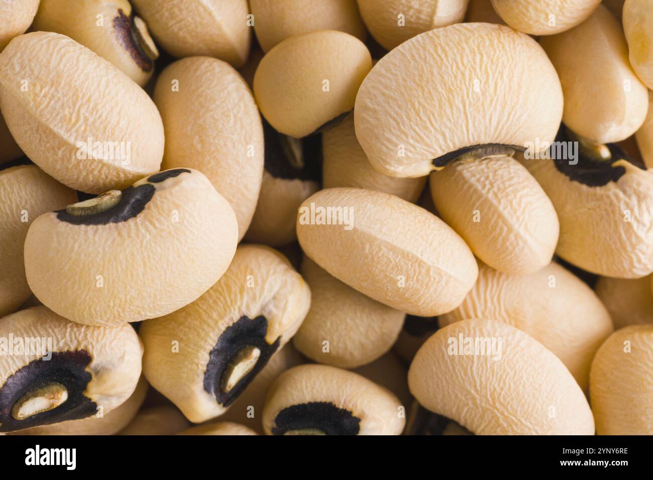 Dried beans white background overhead hi-res stock photography and ...