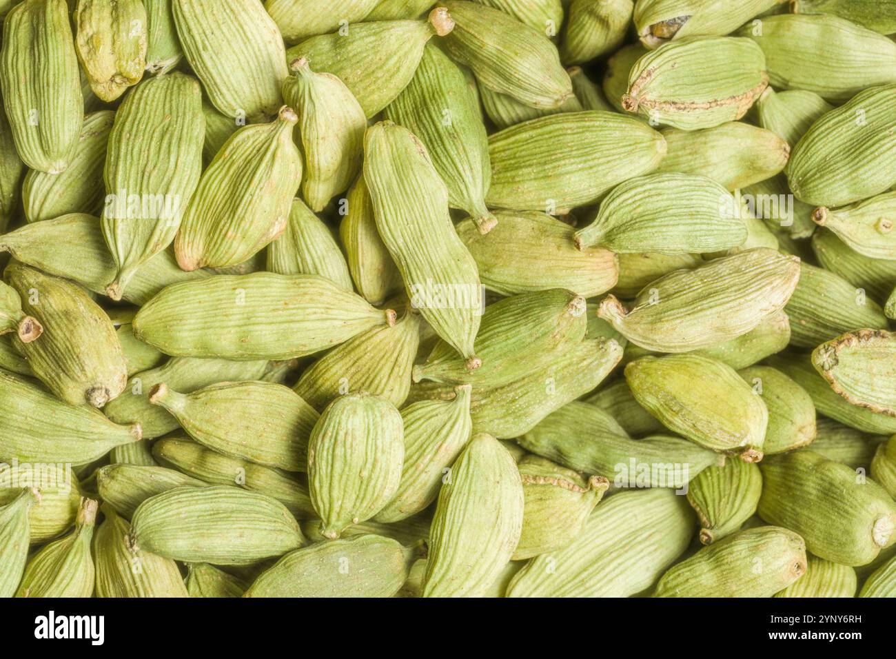 Cardamon plant hi-res stock photography and images - Alamy