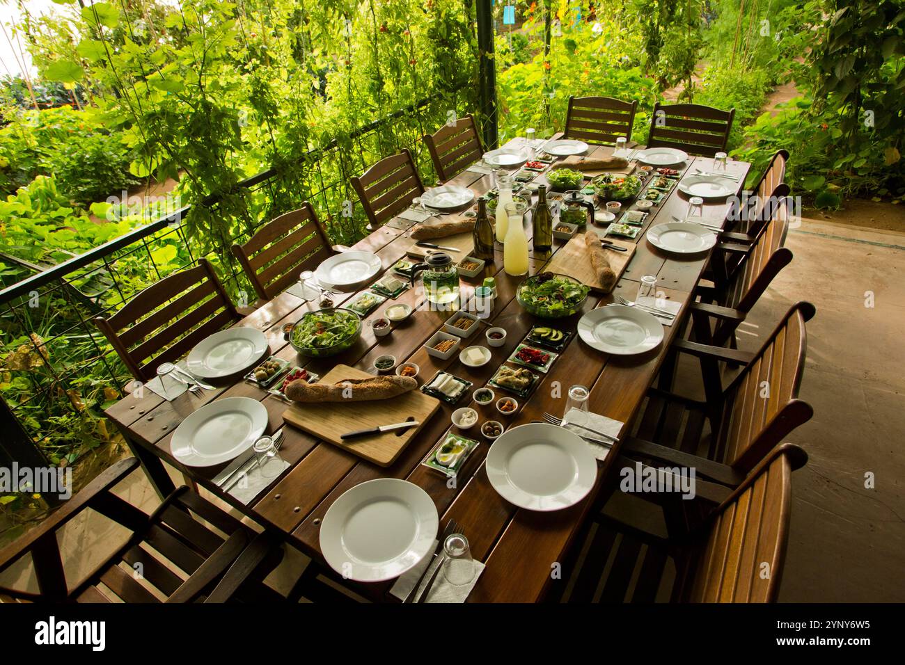 in the Arava Moshav in the Vegetable Garden Stock Photo - Alamy