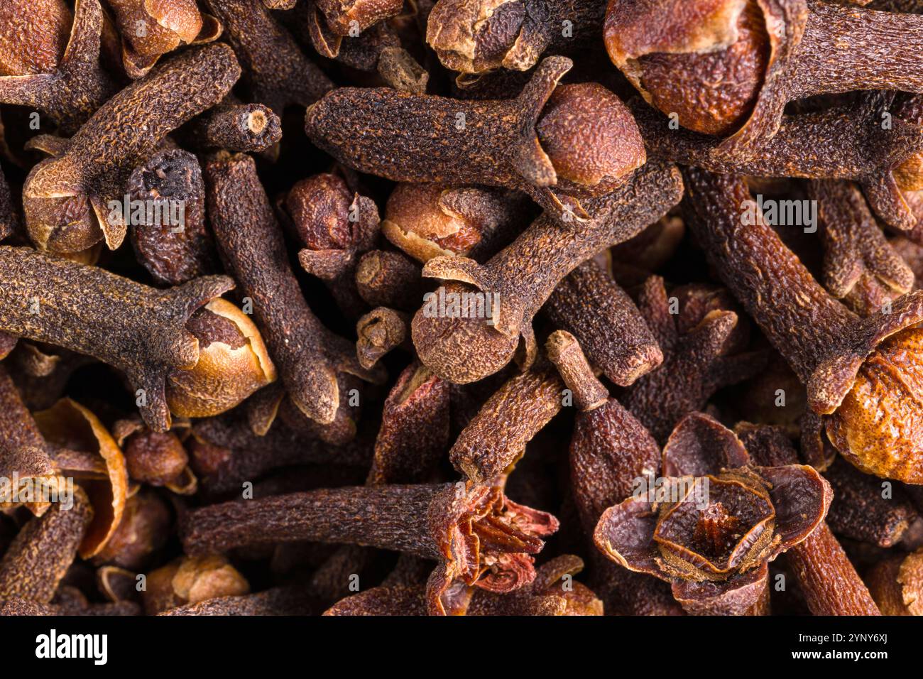 Clove tree hi-res stock photography and images - Alamy