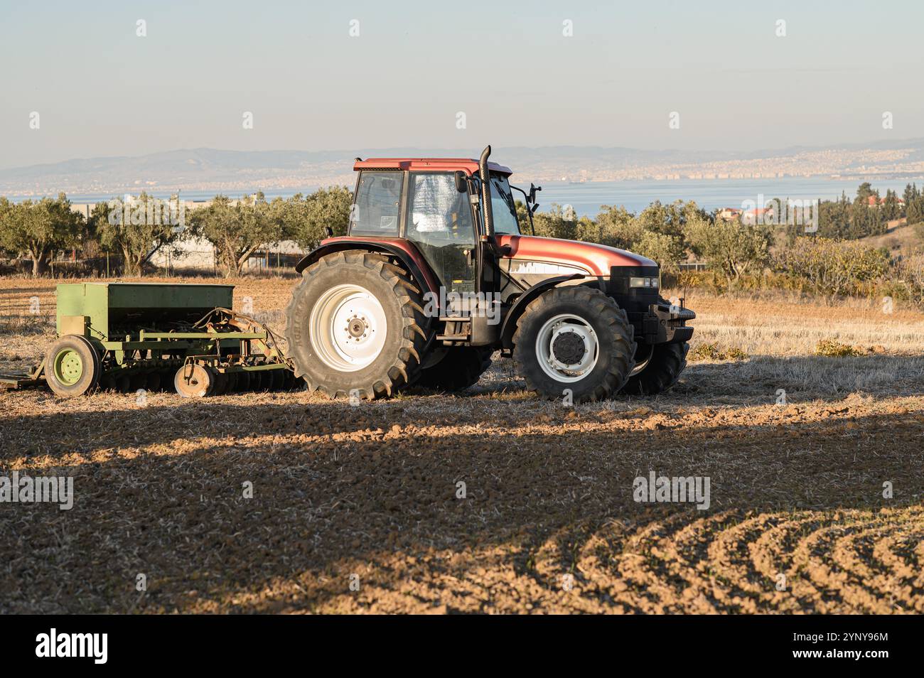Cultivating talent hi-res stock photography and images - Alamy