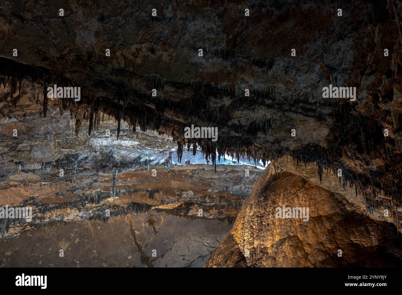 Intricate stalactites hang from the ceiling of a majestic cave in ...