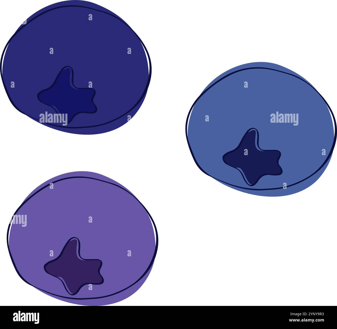 Vector illustration of fresh blueberry in graphic line style. Vector ...