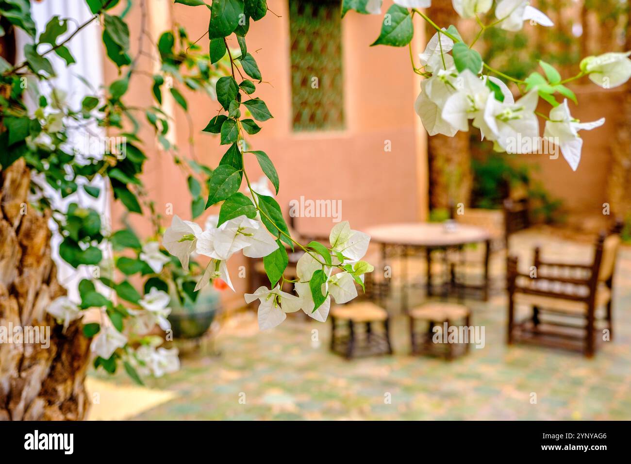 Moroccan courtyard hi-res stock photography and images - Alamy