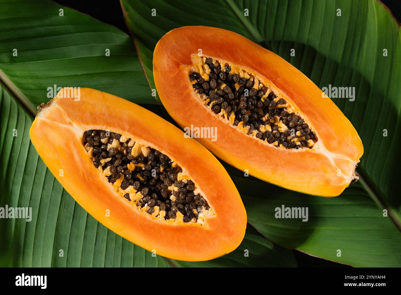 Juicy papaya fruit cut in half, with seeds and bright orange flesh top ...