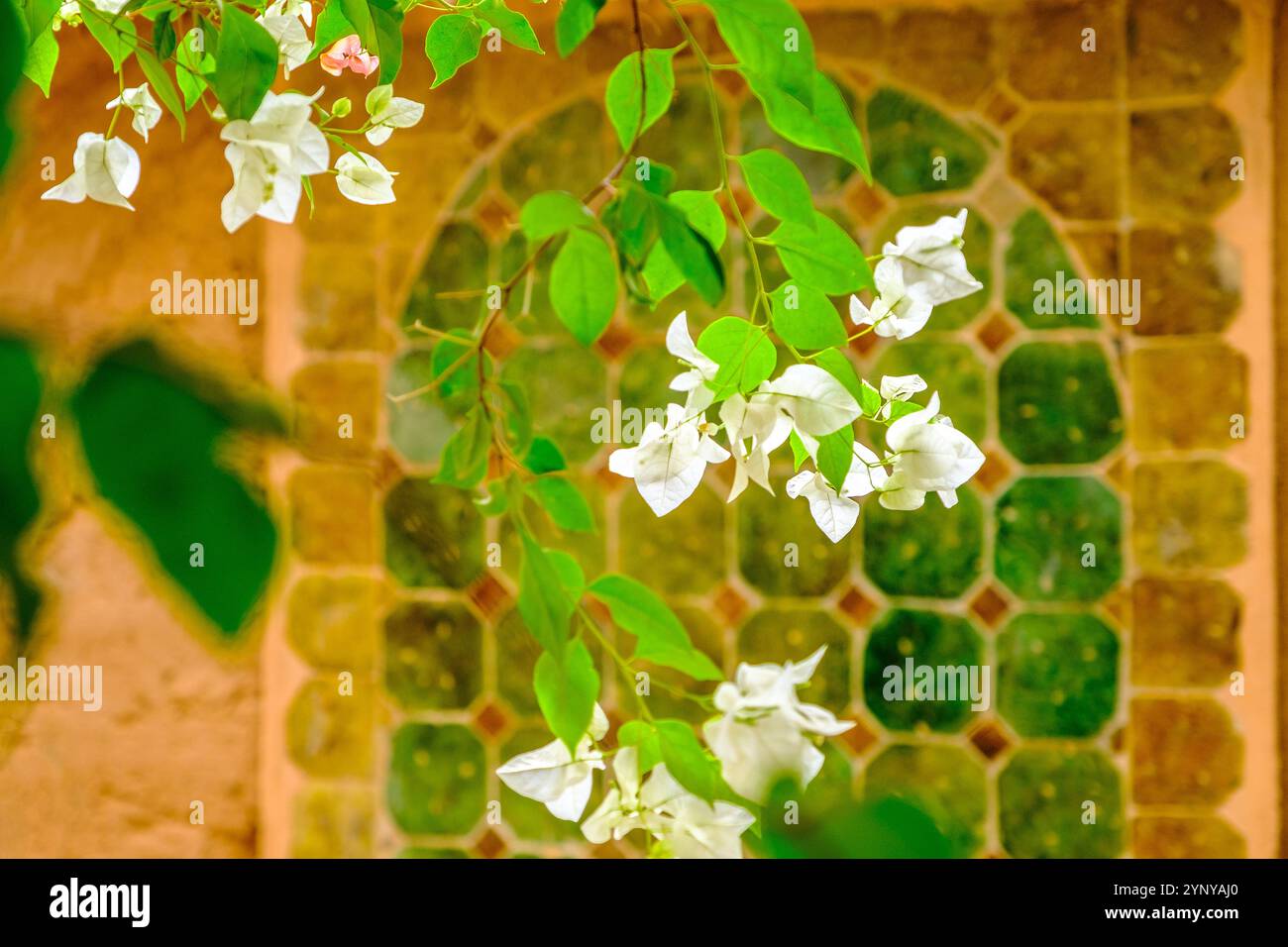 Moroccan courtyard hi-res stock photography and images - Alamy