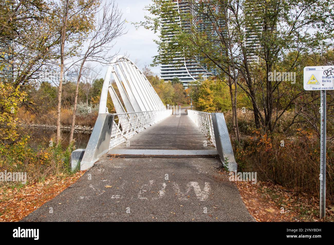 Toronto pedestrian crossing hi-res stock photography and images - Alamy
