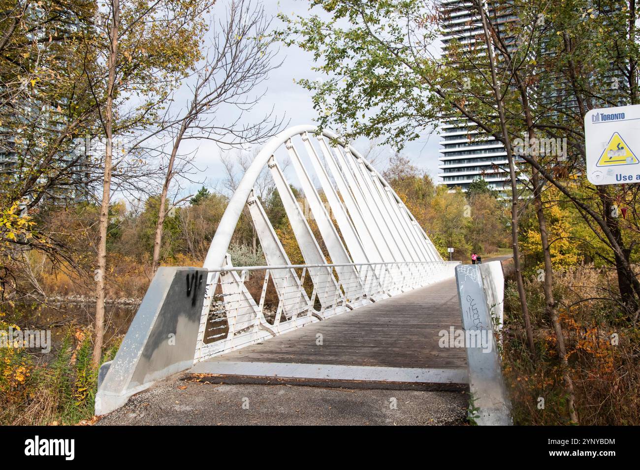 Toronto pedestrian crossing hi-res stock photography and images - Alamy