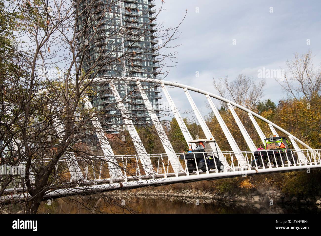 Toronto pedestrian crossing hi-res stock photography and images - Alamy