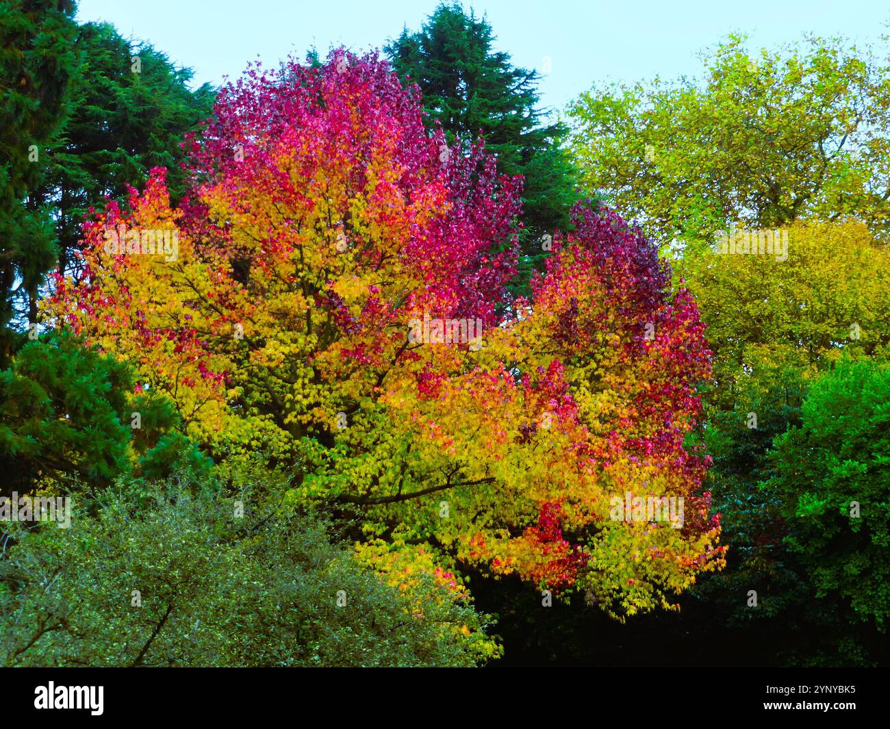Breathtaking colours hi-res stock photography and images - Alamy