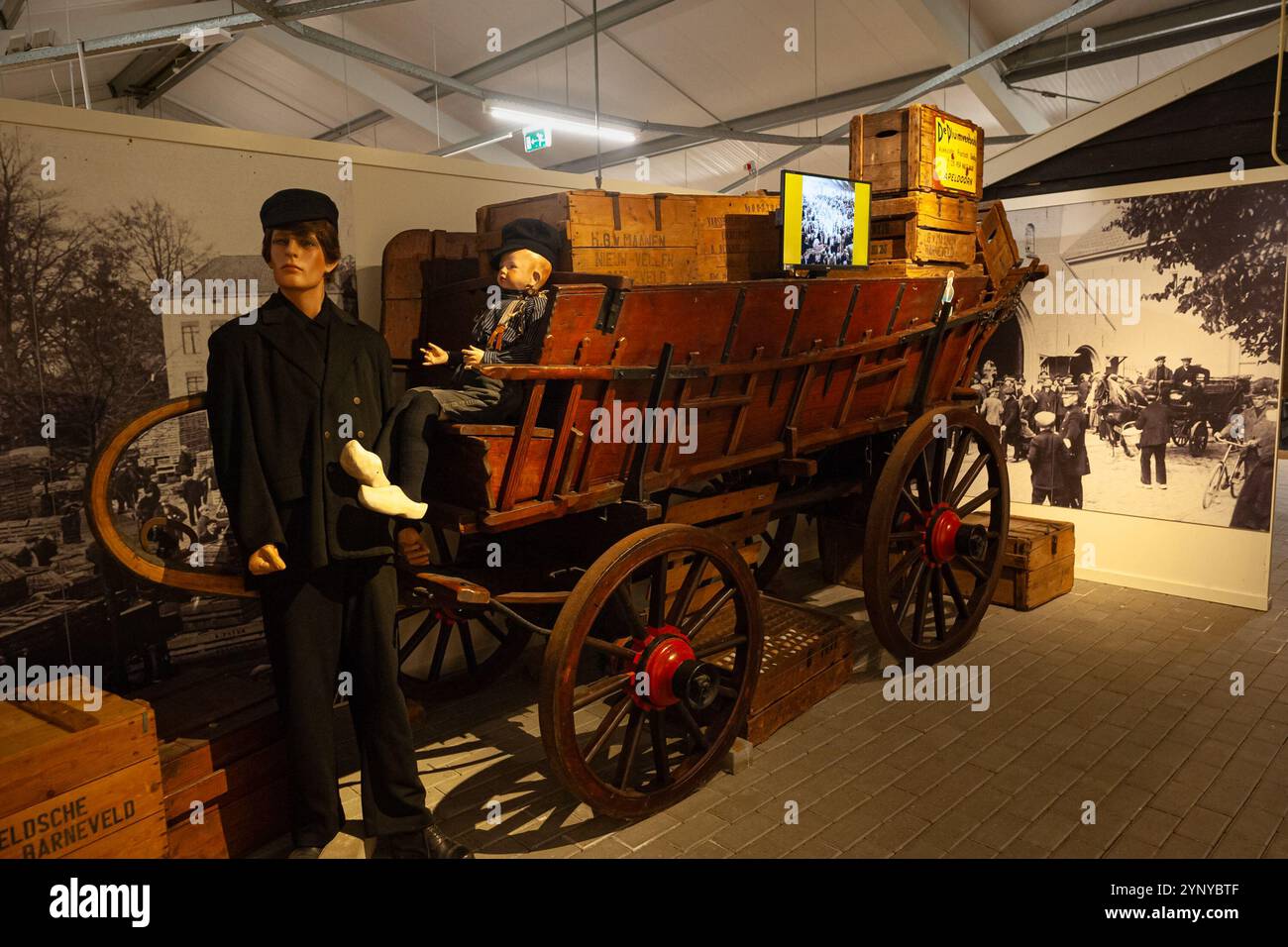 Set-up of the transportation of eggs by carriage. At the poultry museum ...