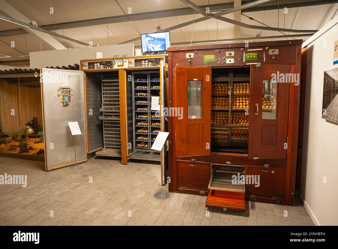 Incubators for hatching chicken eggs at the poultry museum (Pluimvee ...