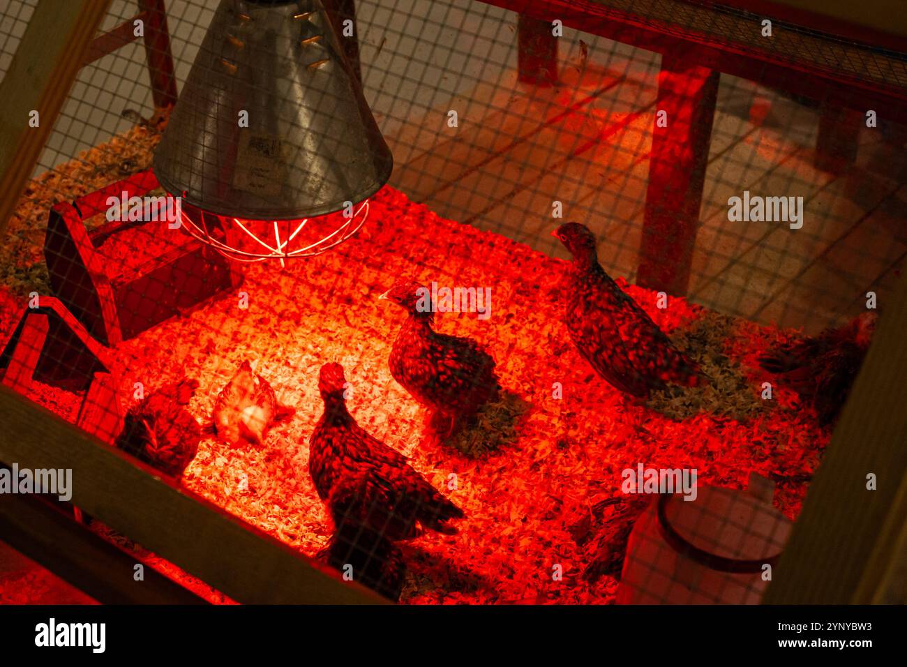 Under red light museum hi-res stock photography and images - Alamy