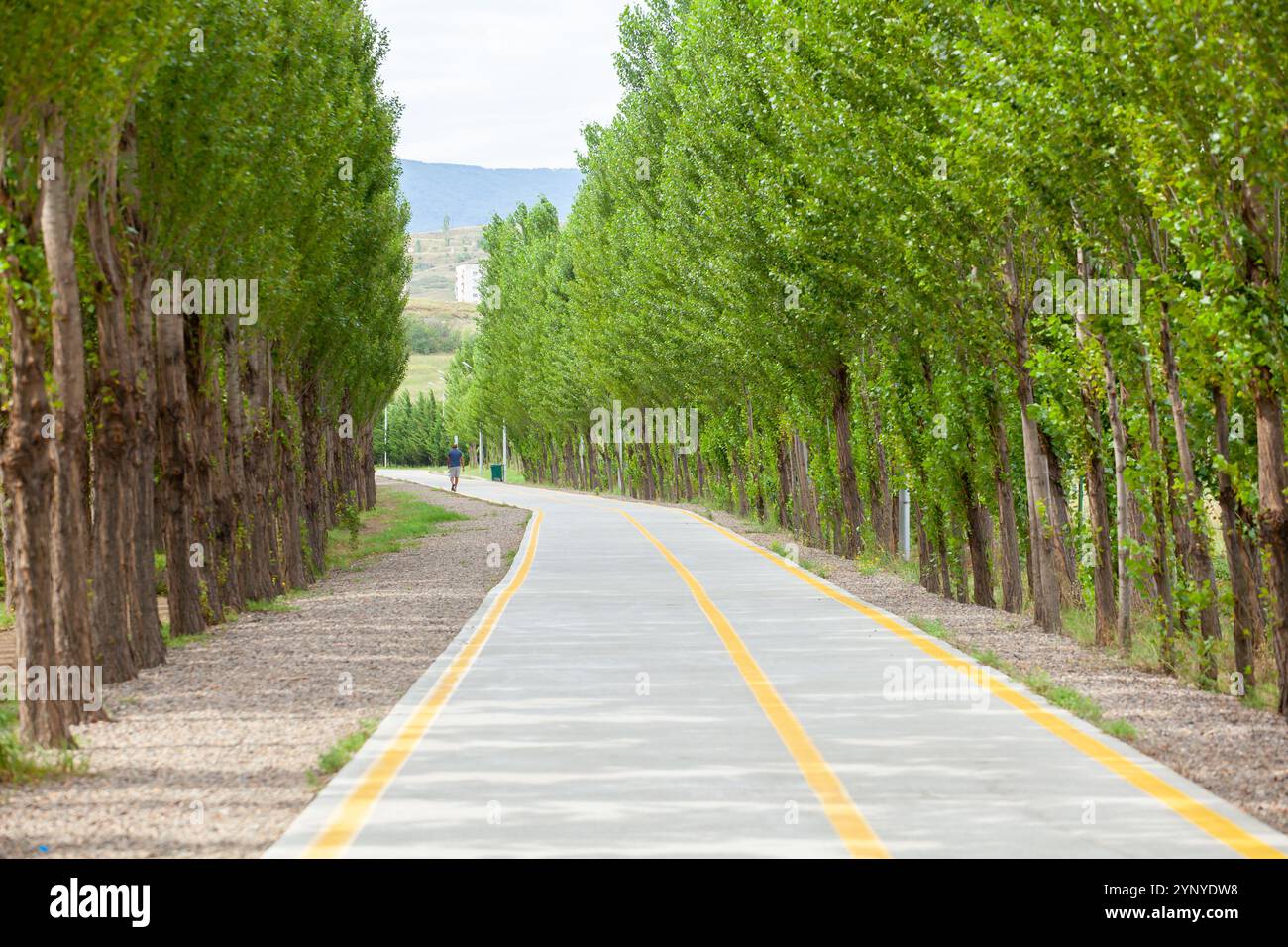 Bicycle and pedestrian path around Lake Lisi, Tbilisi Stock Photo - Alamy