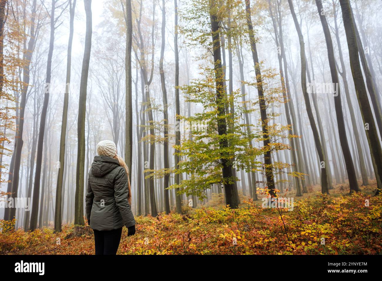 Forest therapy. Woman is feeling positive emotion in misty autumn ...
