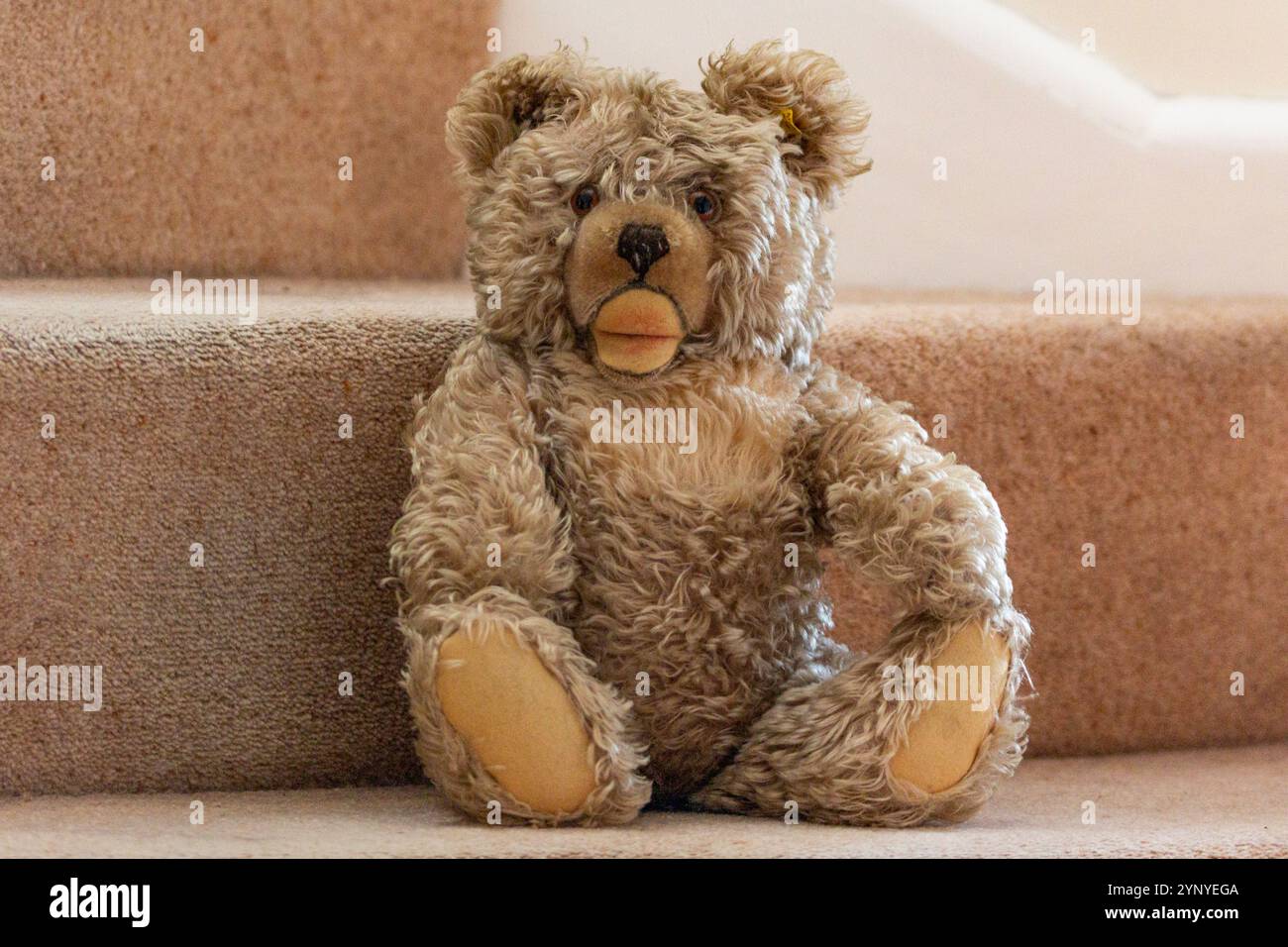 Teddy bear on stairs hi-res stock photography and images - Alamy