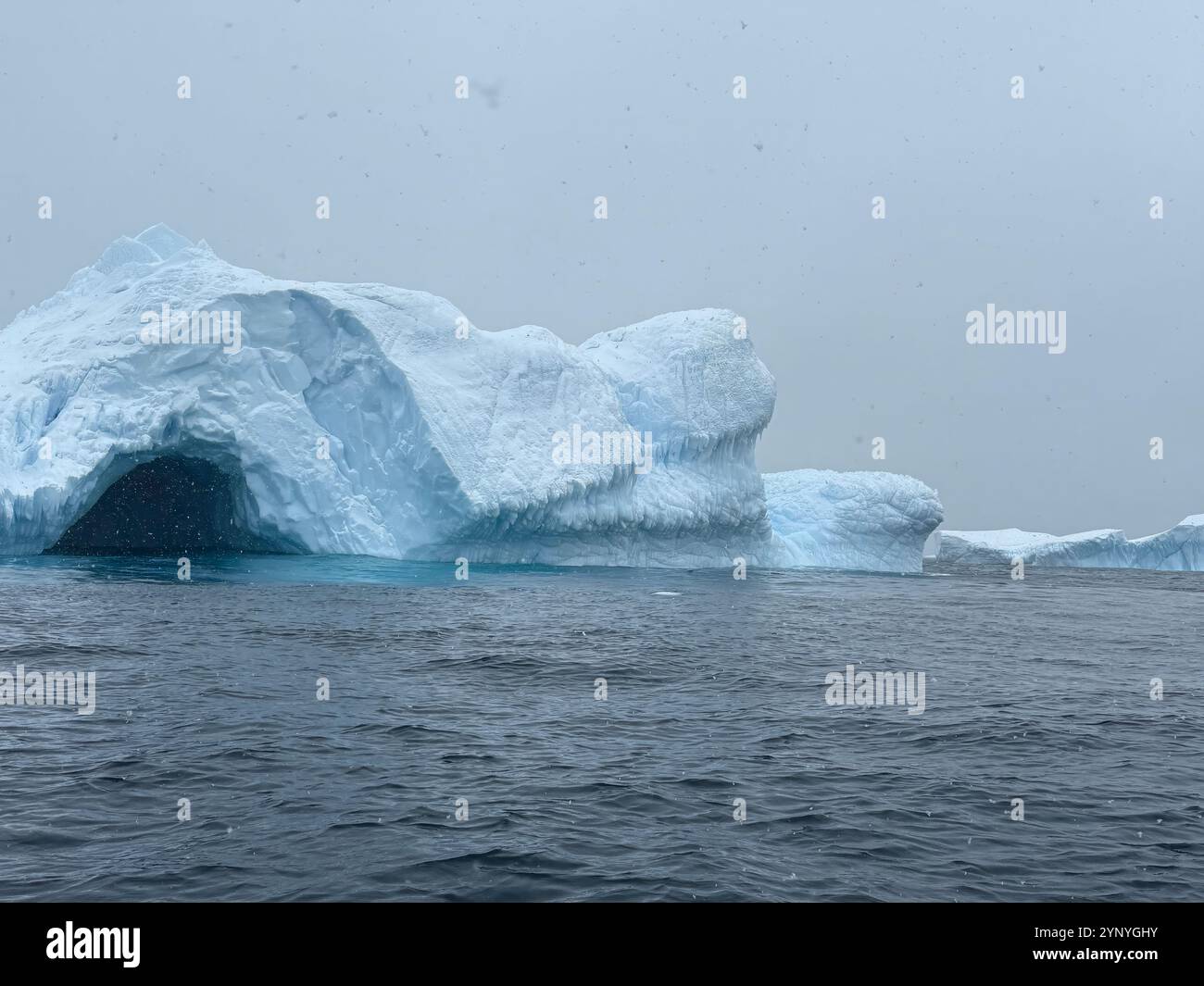 Explore Antarctica 2025. Antarctica mountains, sea and penguin in South ...