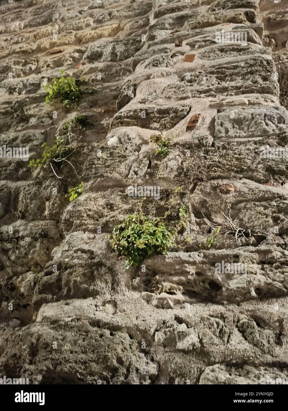 Istanbul environment hi-res stock photography and images - Alamy