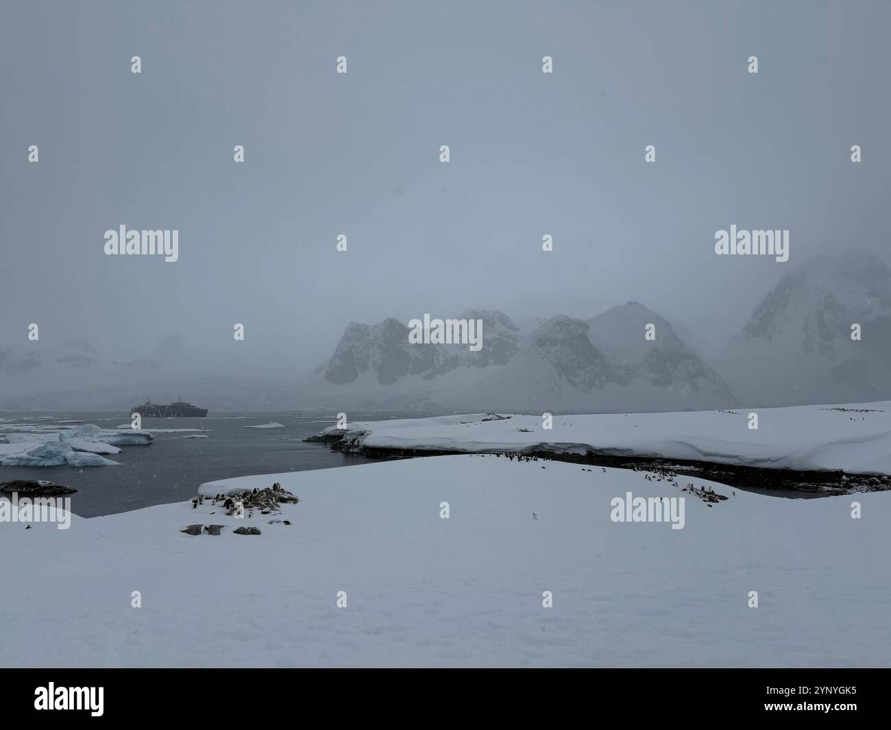 Explore Antarctica 2025. Antarctica mountains, sea and penguin in South ...