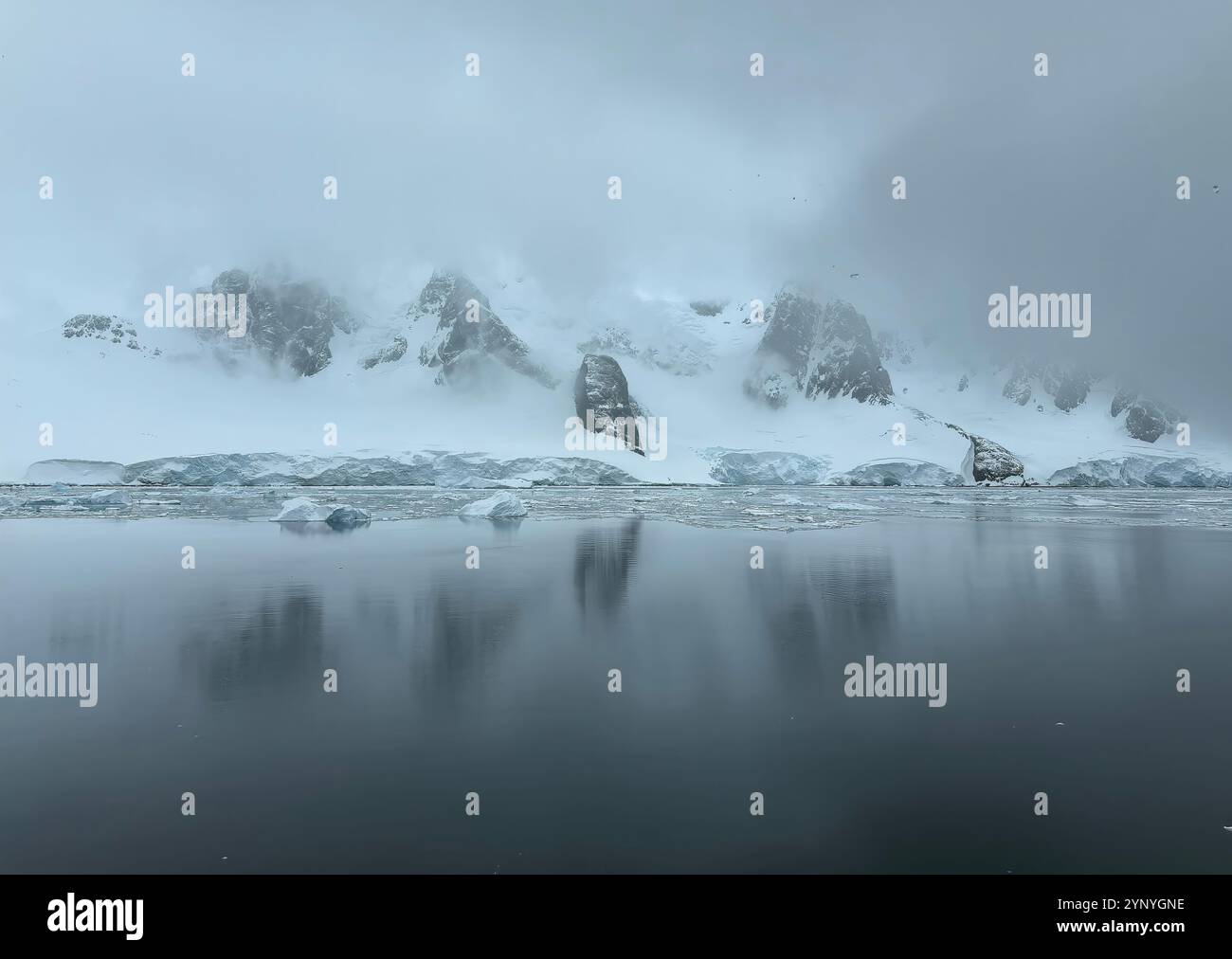 Explore Antarctica 2025. Antarctica mountains, sea and penguin in South ...