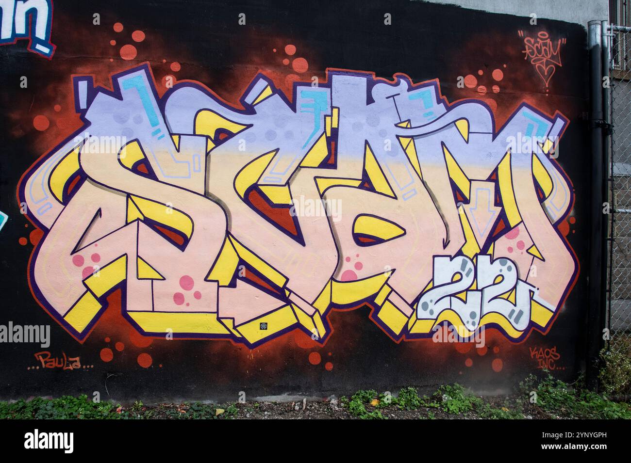 Scam 22 graffiti tagged on a fence on Alex Faulkner Lane in Etobicoke ...