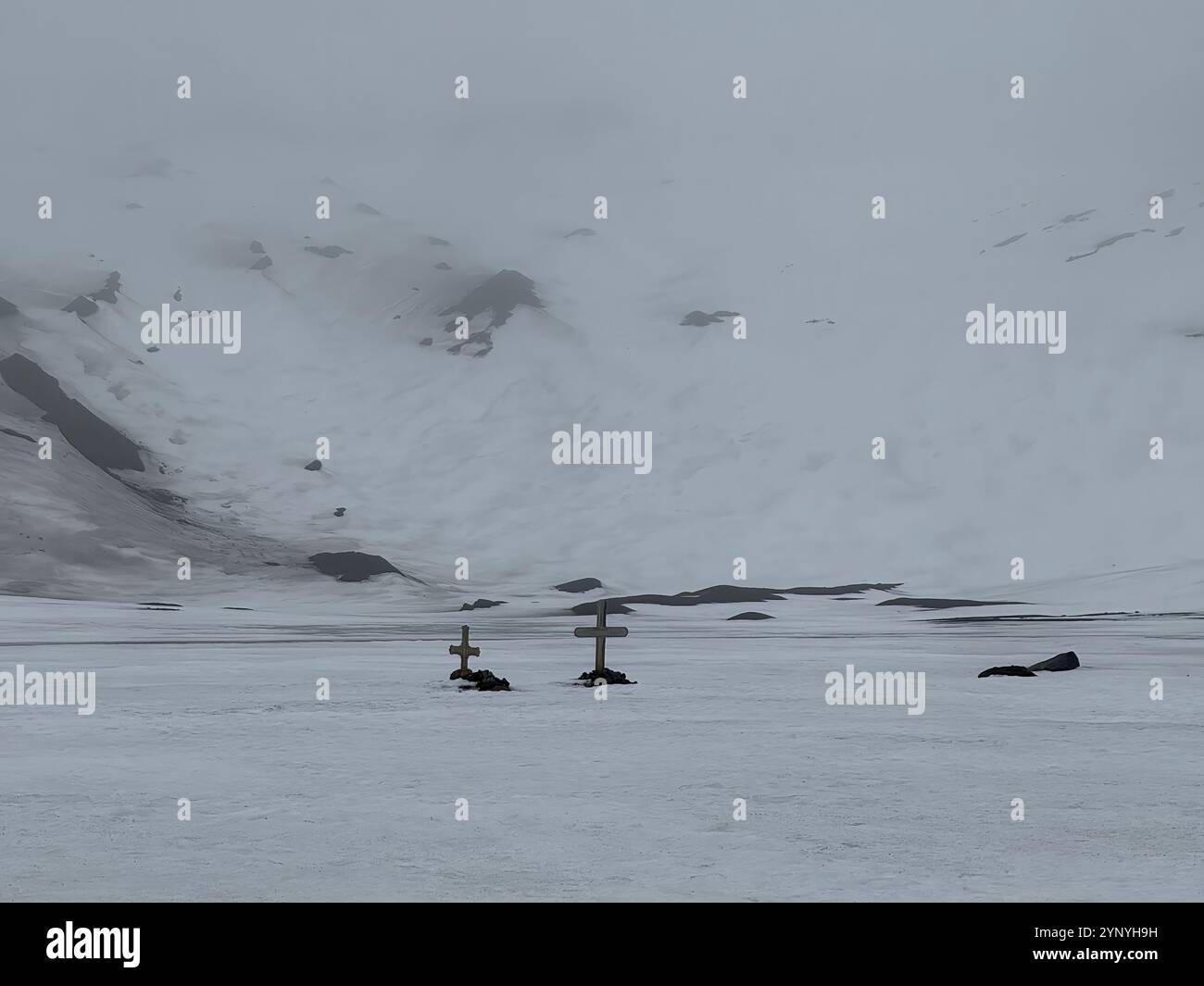 Explore Antarctica 2025. Antarctica mountains, sea and penguin in South ...