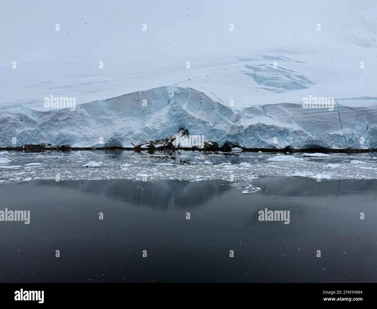 Explore Antarctica 2025. Antarctica mountains, sea and penguin in South ...