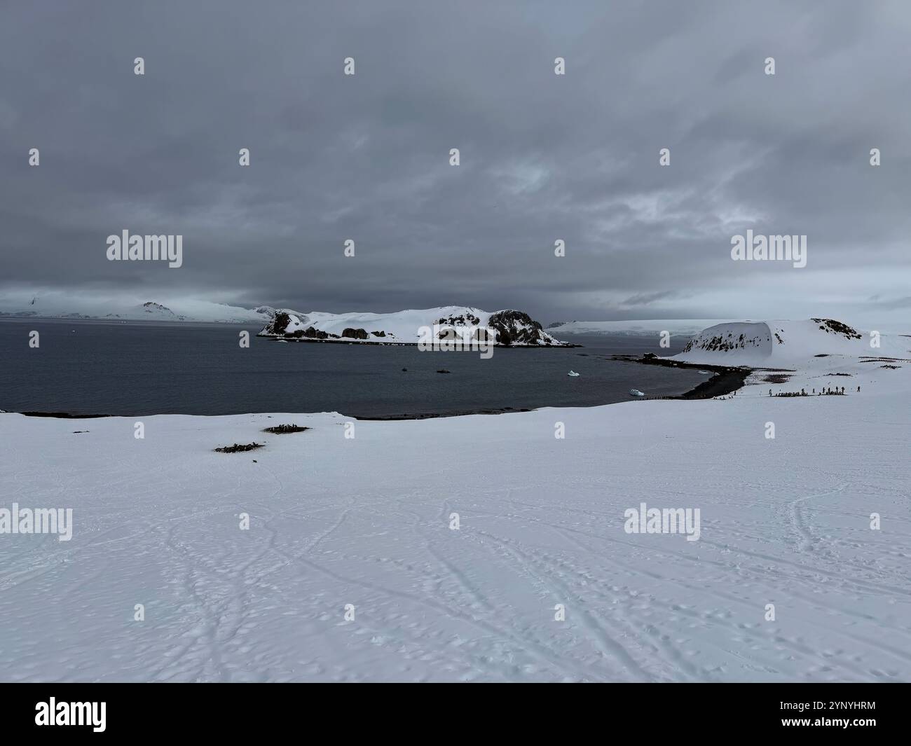 Explore Antarctica 2025. Antarctica mountains, sea and penguin in South ...