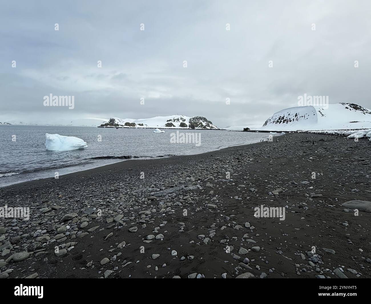 Explore Antarctica 2025. Antarctica mountains, sea and penguin in South ...