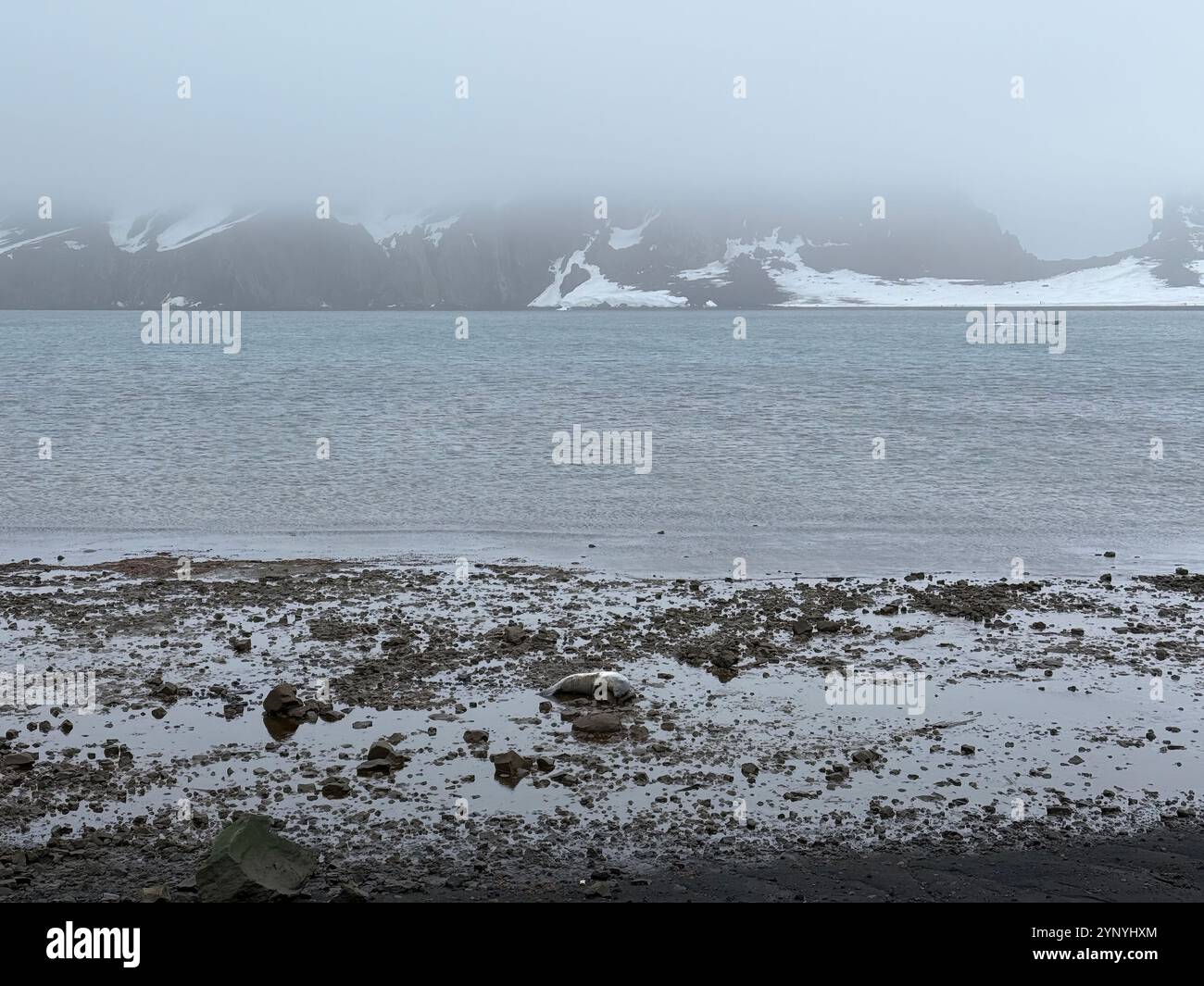 Explore Antarctica 2025. Antarctica mountains, sea and penguin in South ...