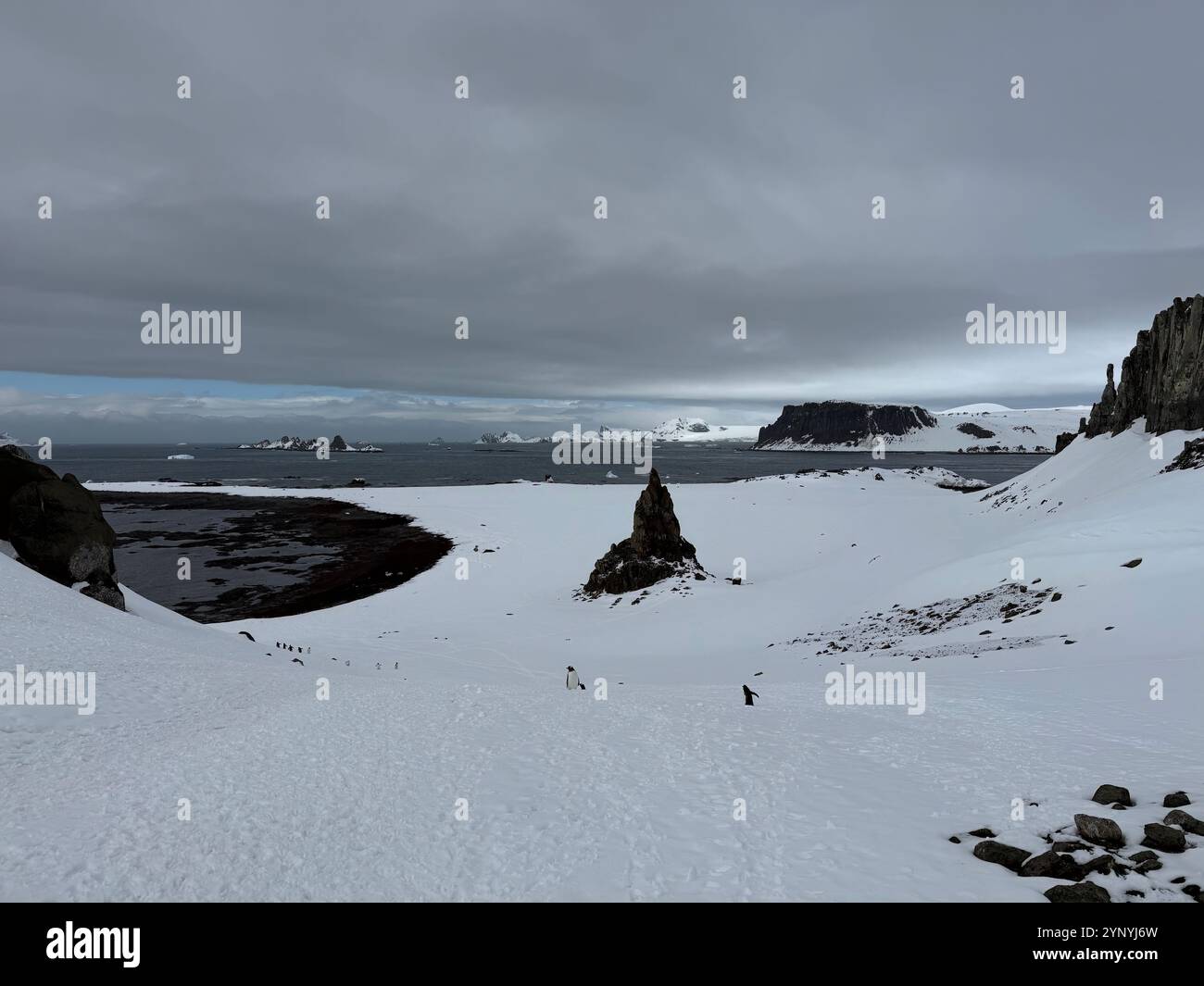 Explore Antarctica 2025. Antarctica mountains, sea and penguin in South ...