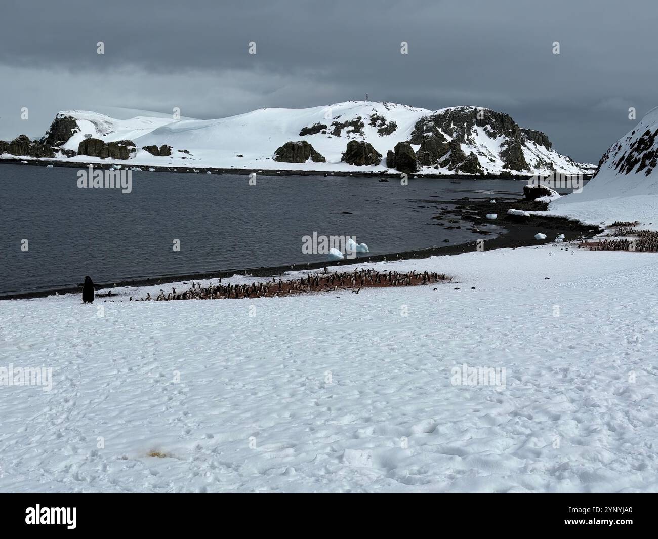 Explore Antarctica 2025. Antarctica mountains, sea and penguin in South ...