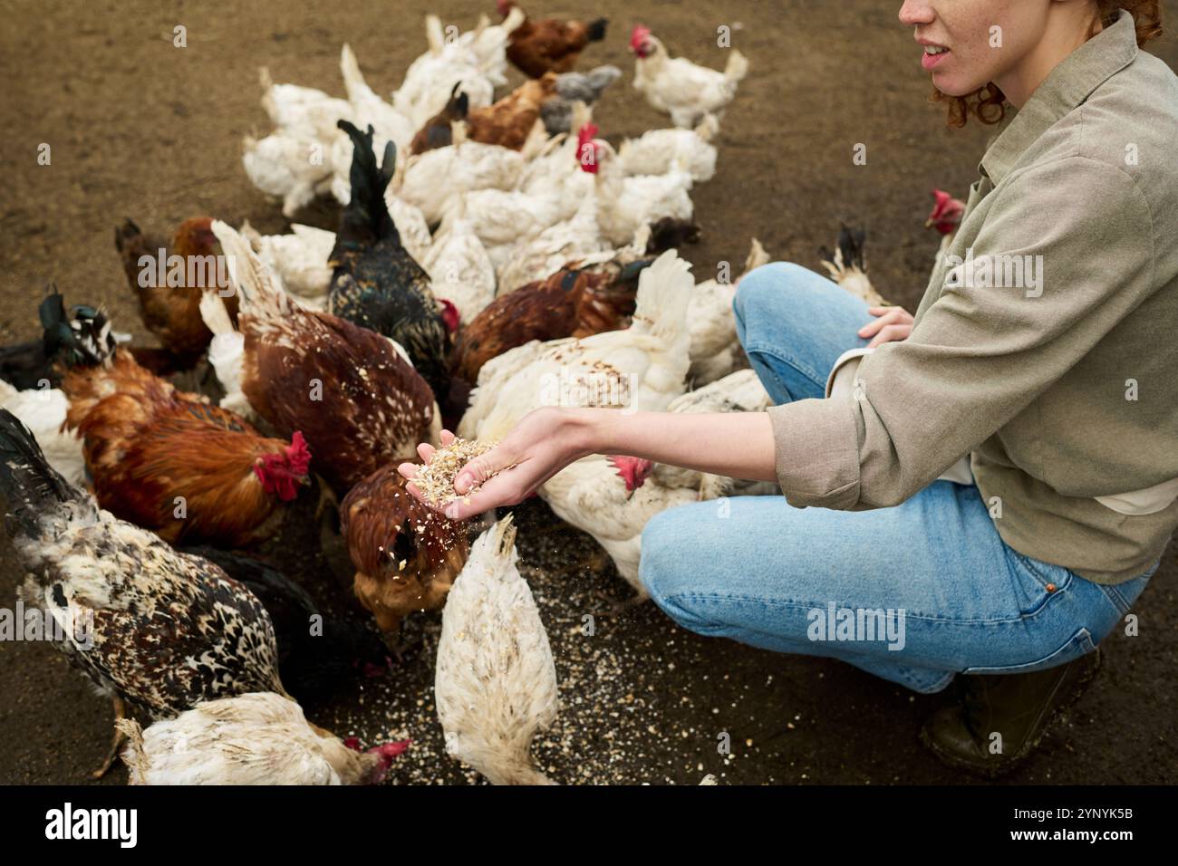 Female farmer in jeans and shirt sitting on squats in front of group of ...