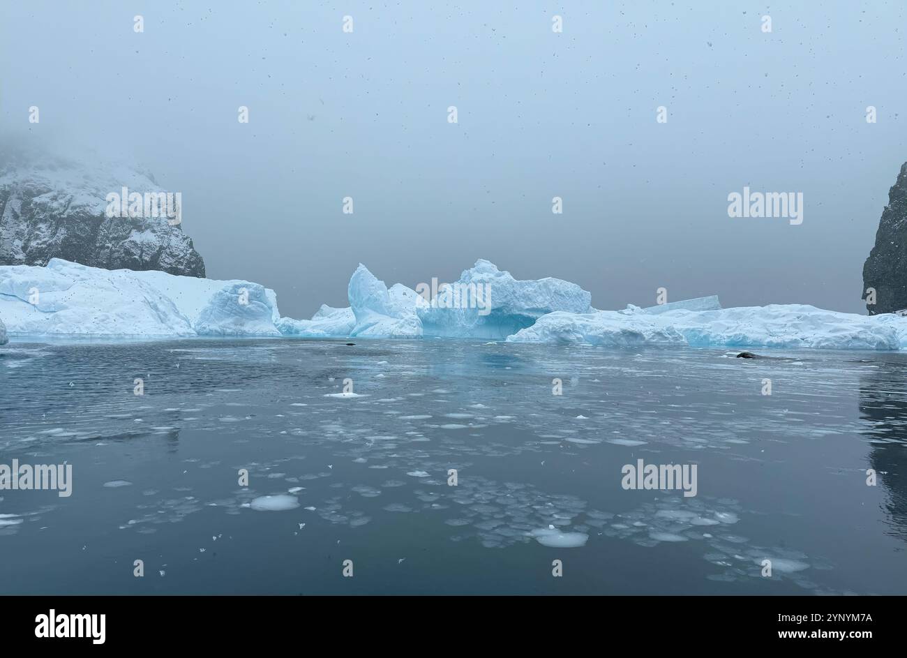 Explore Antarctica 2025. Antarctica mountains, sea and penguin in South ...