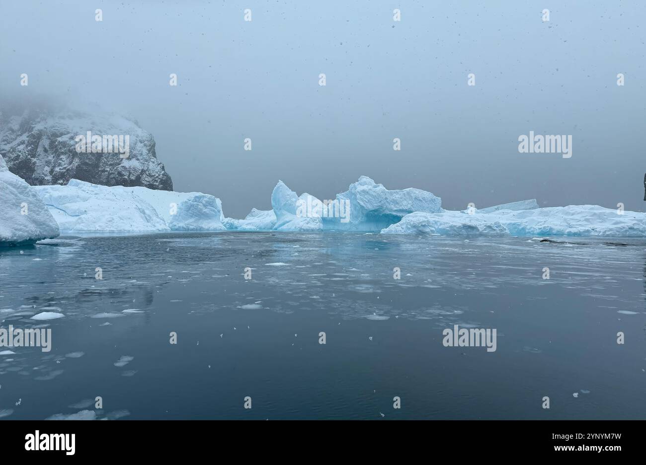 Explore Antarctica 2025. Antarctica mountains, sea and penguin in South ...