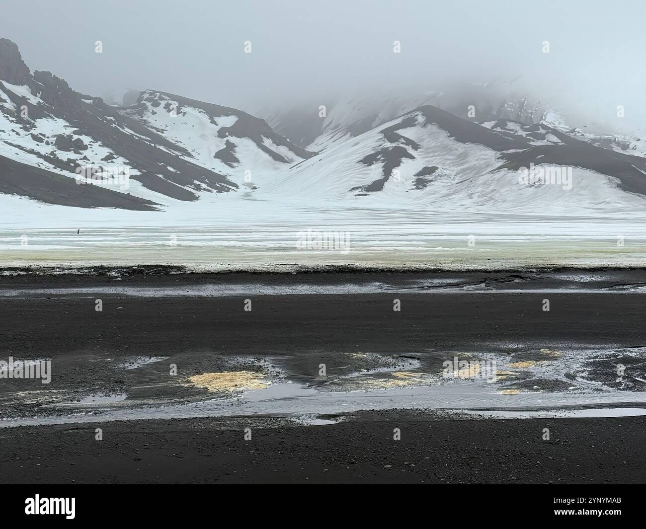 Explore Antarctica 2025. Antarctica mountains, sea and penguin in South ...