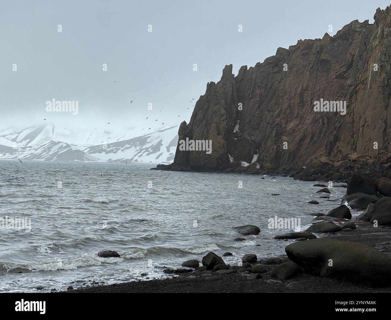 Explore Antarctica 2025. Antarctica mountains, sea and penguin in South ...