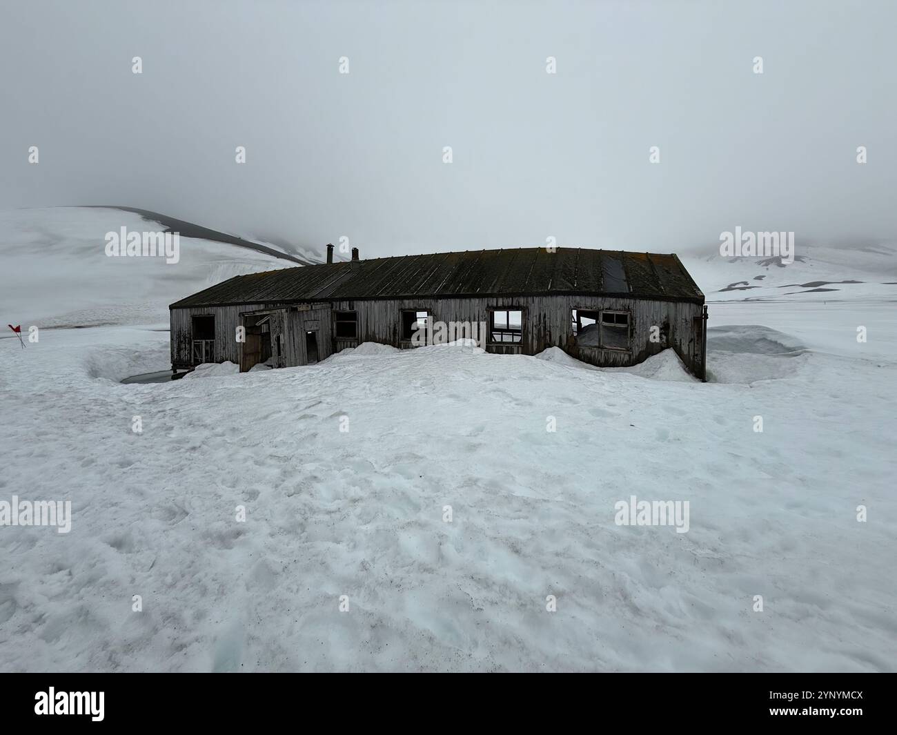 Explore Antarctica 2025. Antarctica mountains, sea and penguin in South ...