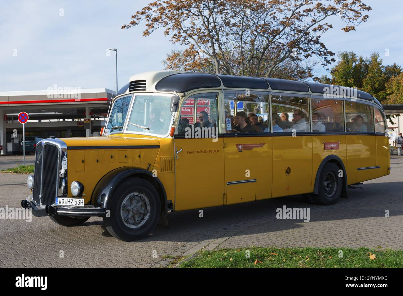 Car drives past tree hi-res stock photography and images - Alamy