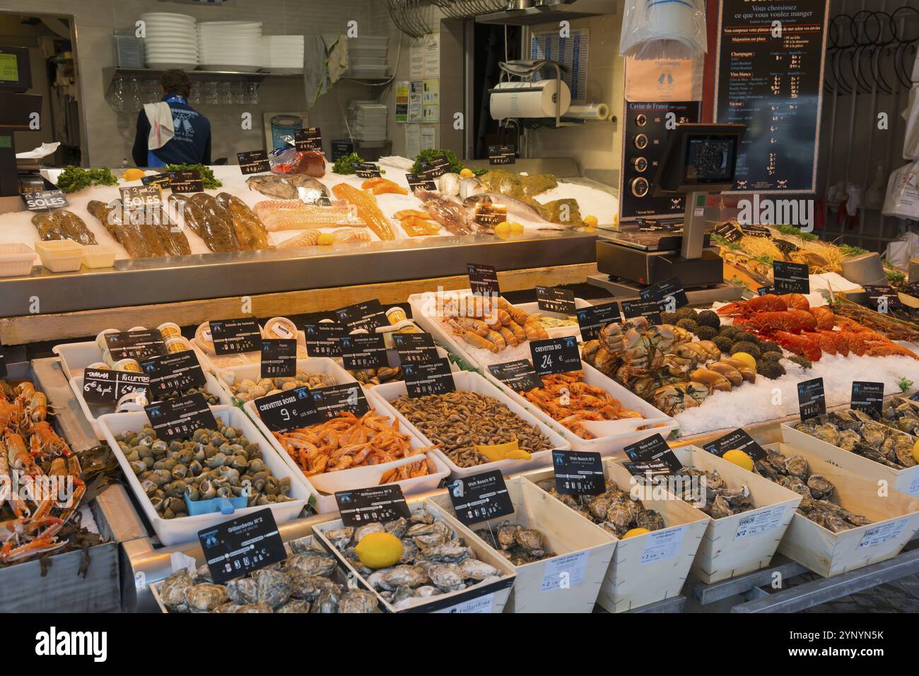 All types of crustaceans hi-res stock photography and images - Alamy