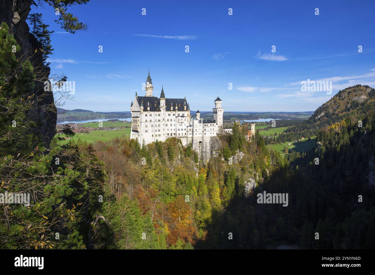 Neuschwanstein Castle rises in a colourful leafy landscape under a blue ...