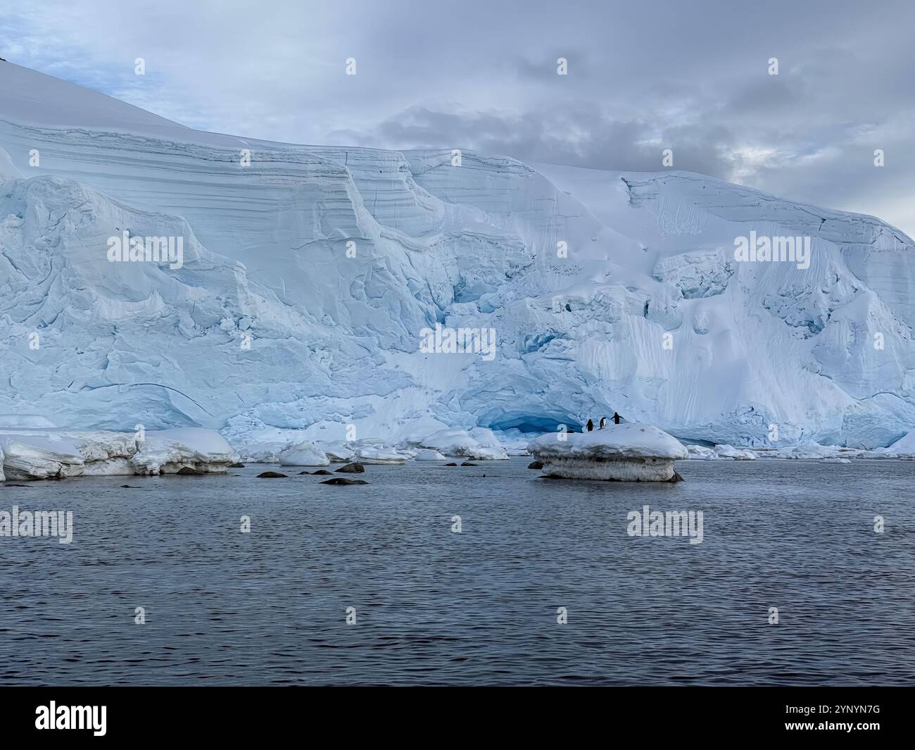 Explore Antarctica 2025. Antarctica mountains, sea and penguin in South ...