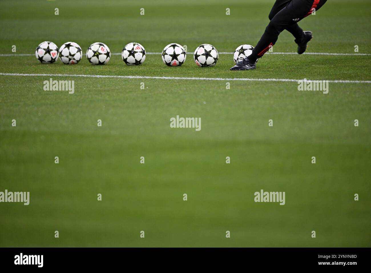 Munchen grass hi-res stock photography and images - Alamy