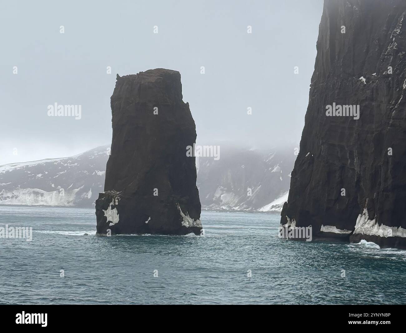 Explore Antarctica 2025. Antarctica mountains, sea and penguin in South ...