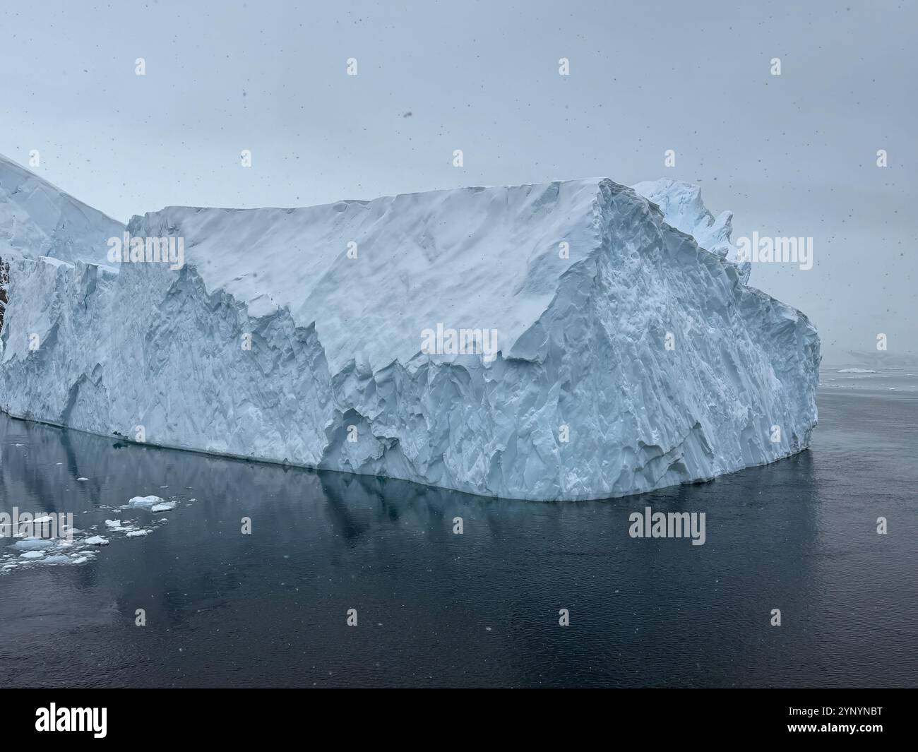 Explore Antarctica 2025. Antarctica mountains, sea and penguin in South ...