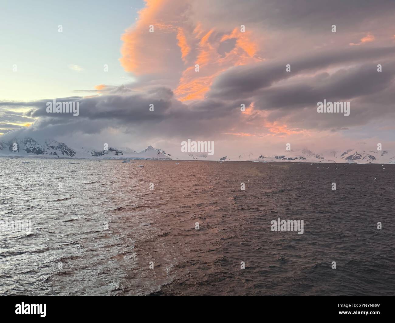 Explore Antarctica 2025. Antarctica mountains, sea and penguin in South ...