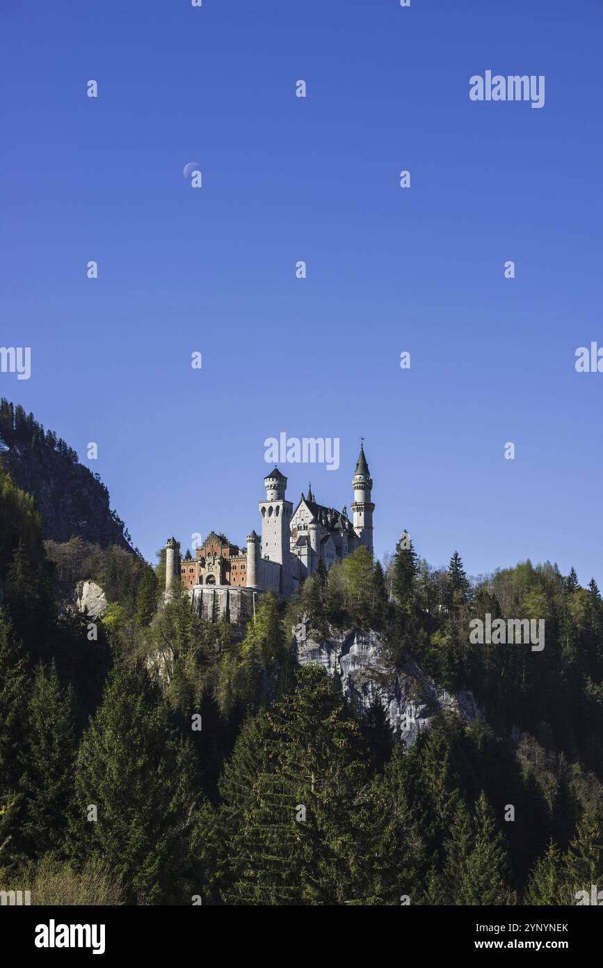 Neuschwanstein Castle, Schwangau, Ostallgaeu, Allgaeu, Bavaria, Germany ...